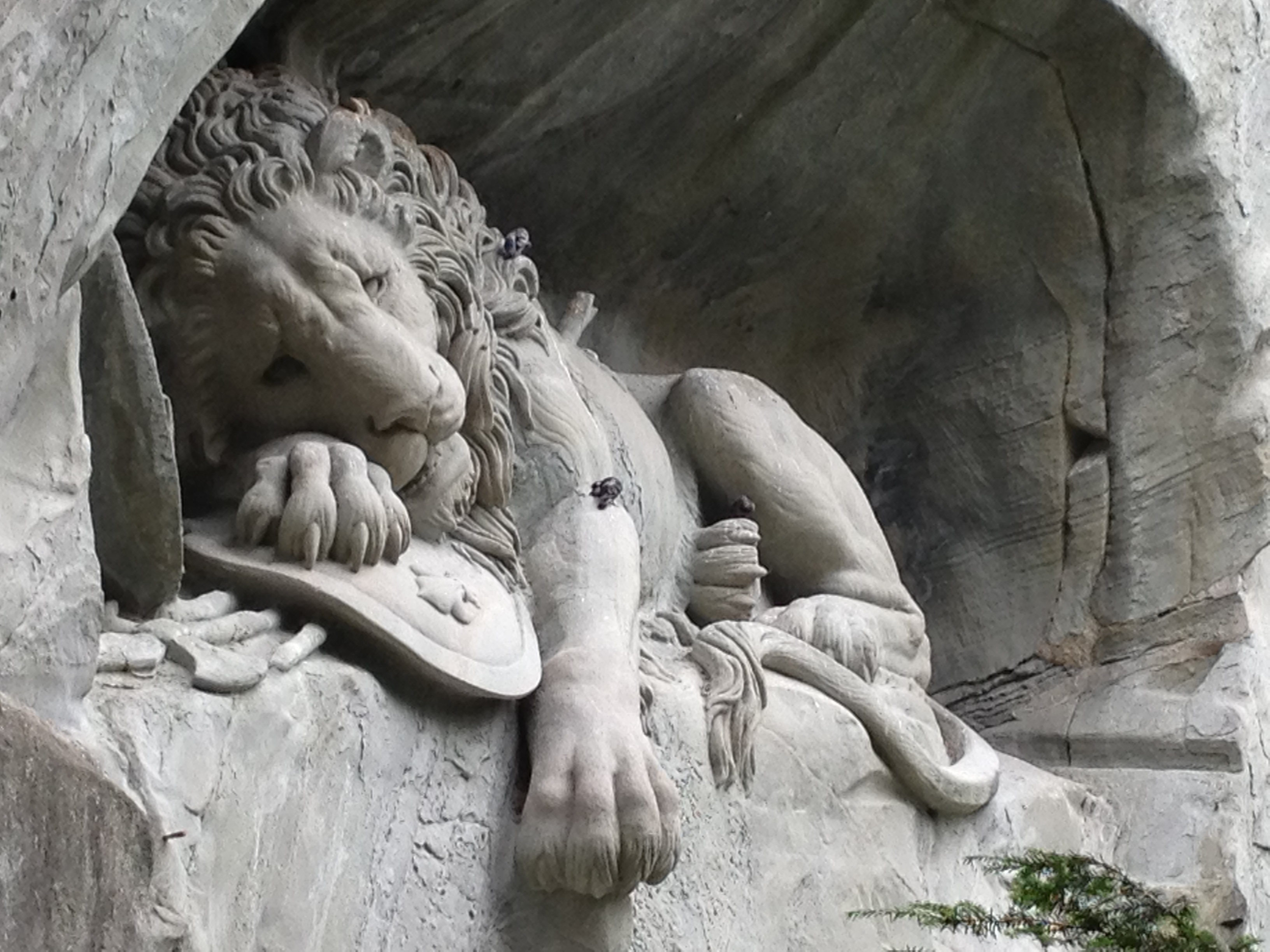 A Swiss Tour To Remember Diccon Bewes
